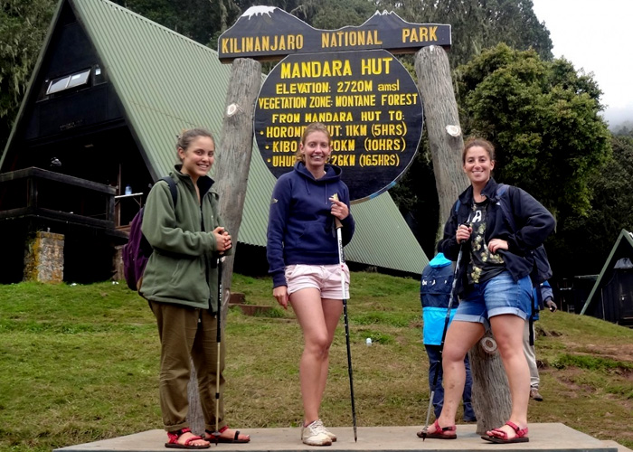 Kilimanjaro Marangu Route 6 Days